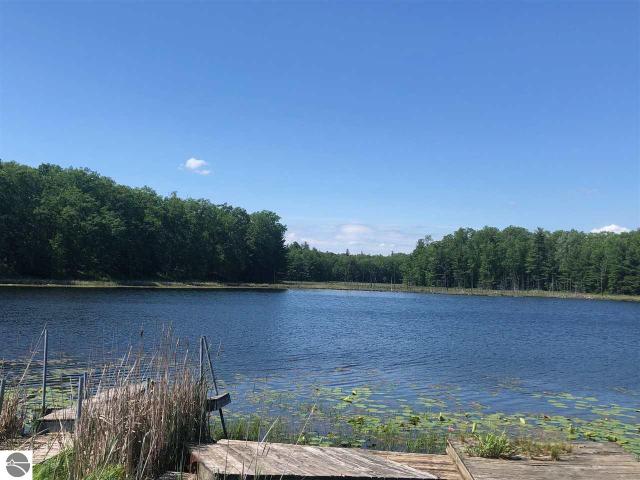 6021 Syers Dr, Irons, MI 49644 | 42 Photos | MLS #1877640 - Movoto