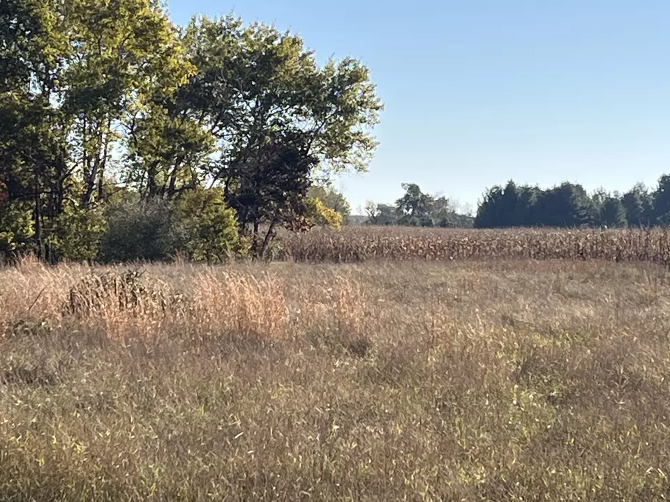 Par A Monroe Road, Lakeview, MI 48850 | MLS# 25058838 | 25 Photos - Movoto