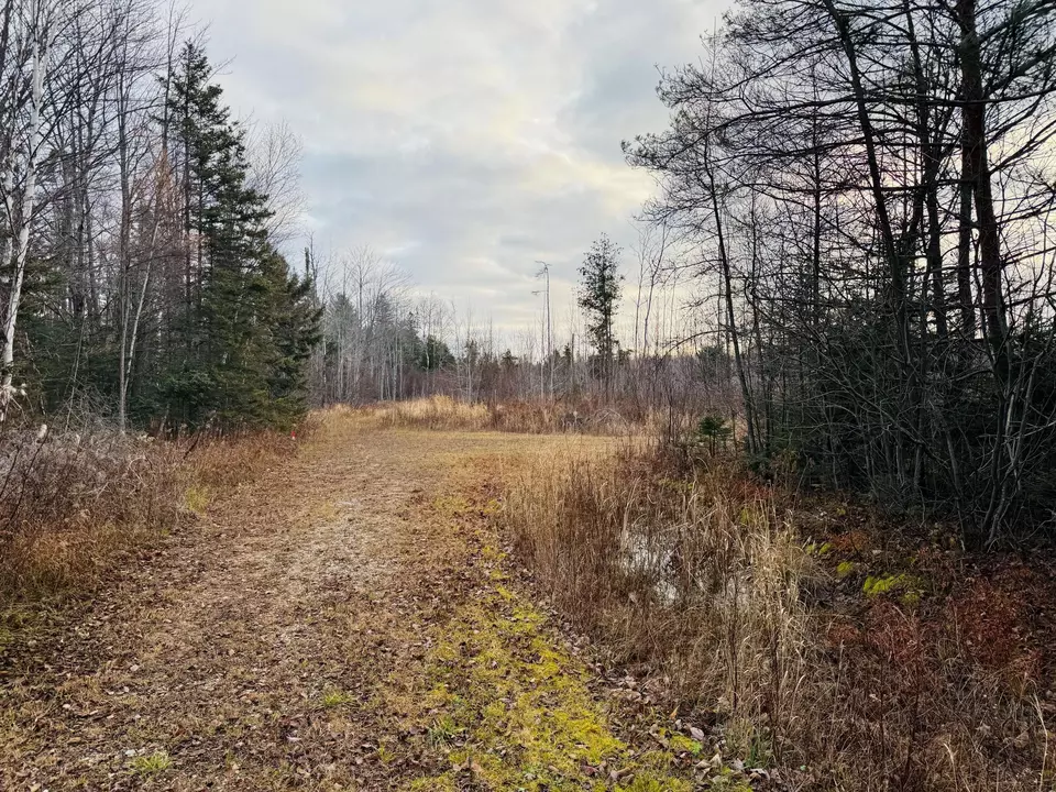 7104 M-117, Engadine, MI 49827 | MLS# 25059621 | 23 Photos - Movoto