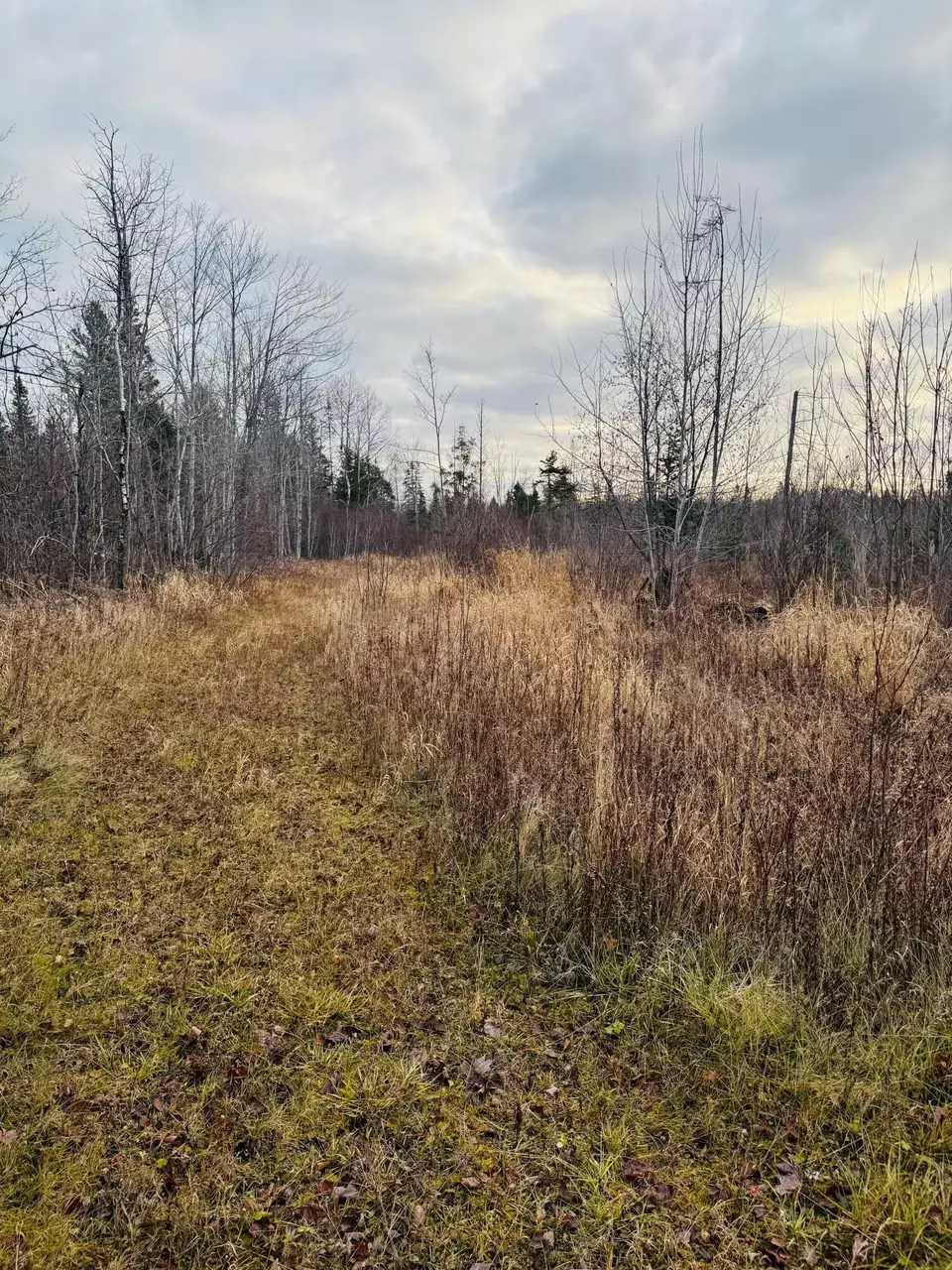 7104 M-117, Engadine, MI 49827 | MLS# 25059621 | 23 Photos - Movoto