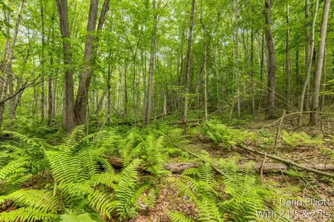 V/l Shady Lane, Fenwick City, MI 48834 | MLS# 26030865 | 30 Photos - Movoto