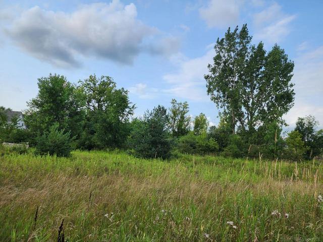 Riley Center, MI Lots & Land For Sale - Movoto