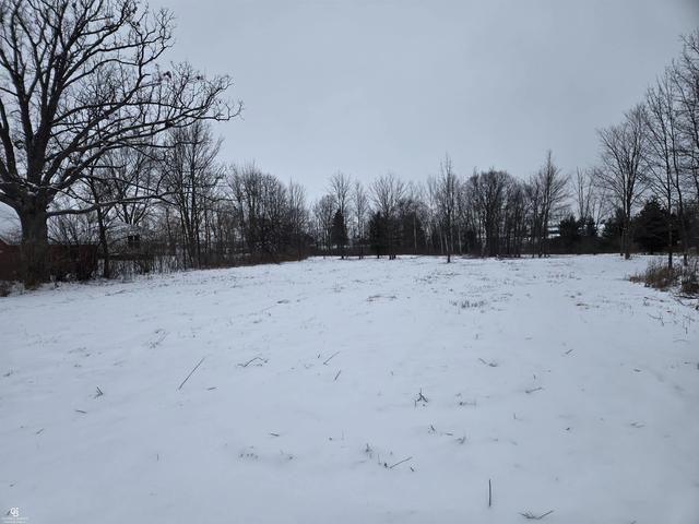 0 Downey Vl, Capac, MI 48014 | MLS# 50164757 | 8 Photos - Movoto