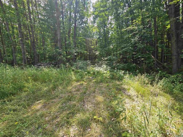 Nhn E Clarence, Harrison, MI 48625 | 5 Photos - Movoto