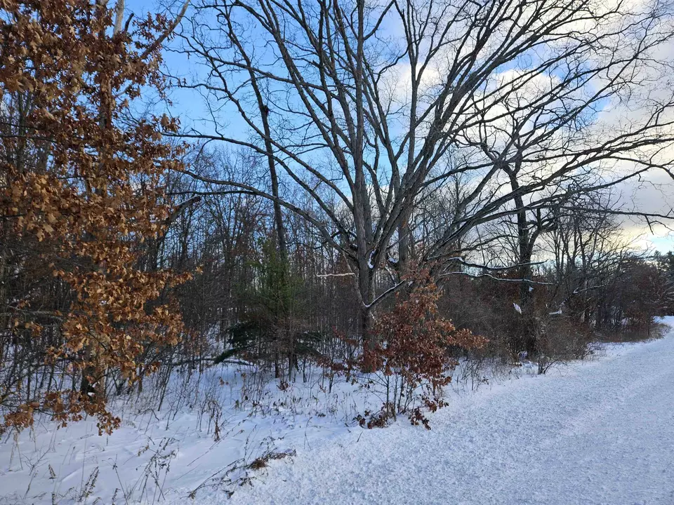 100-23 N Clare Ave, Harrison, MI 48625 | MLS# 50196887 | 5 Photos - Movoto