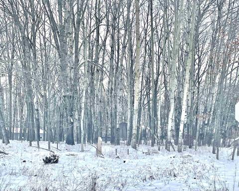 1048 Bundy, Lake Isabella, MI 48893 | 5 Photos - Movoto