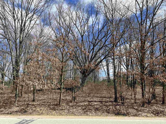 1269 S Clubhouse, Lake Isabella, MI 48893 | 5 Photos - Movoto