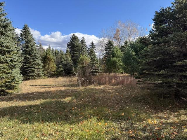 40 Manton Homes For Sale & Manton, MI Real Estate - Movoto