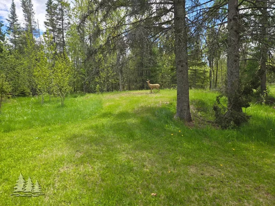 16905 Harwood Rd, Atlanta, MI 49709 | MLS# 201834874 | 21 Photos - Movoto