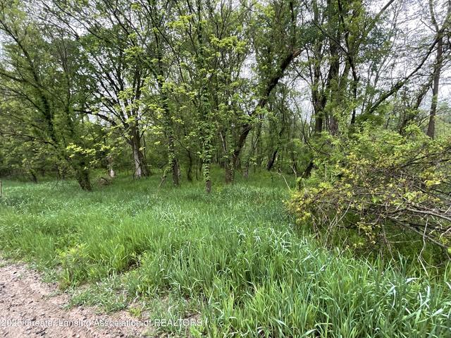 0 Carlisle Hwy, Charlotte, MI 48813 | MLS# 288308 | 12 Photos - Movoto