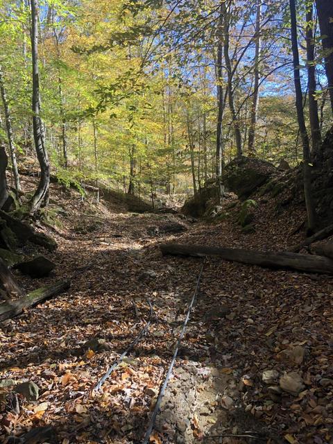 9999 Highway 92 Sill Br, Ingram, KY 40955 - Movoto