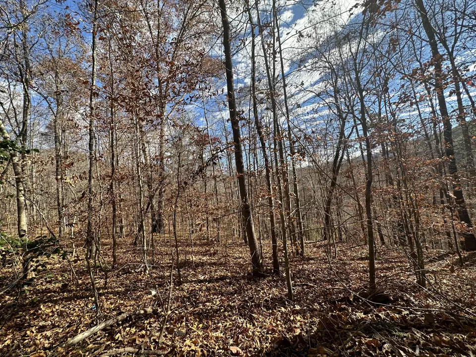 9999 Moores Creek Rd, Fourmile, KY 40939 | 12 Photos - Movoto