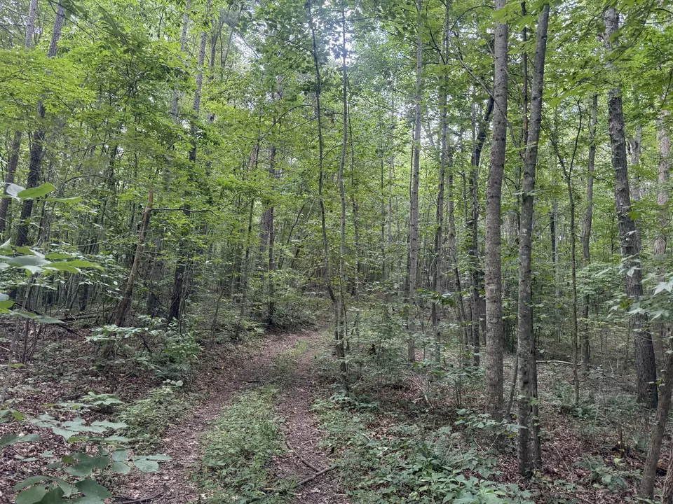 9999 Lela Ln Monticello Ky 42633 Mls 25001611 8 Photos Movoto