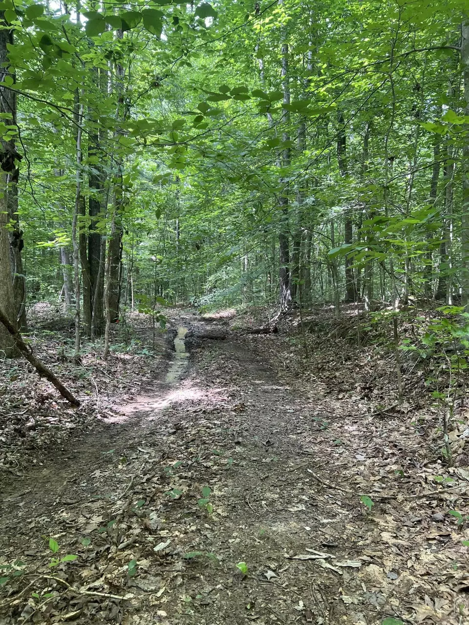9999 Lela Ln Monticello Ky 42633 Mls 25001611 8 Photos Movoto