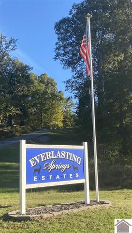 192 Cadiz Homes for Sale - Cadiz KY Real Estate - Movoto