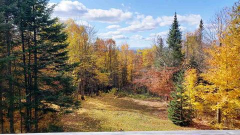 1250 Old Duke Rd, East Hardwick, VT 05836 | 22 Photos | MLS #4781505 ...