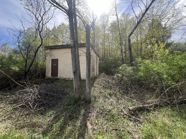 Forest Dale, VT Homes For Sale & Real Estate - Movoto