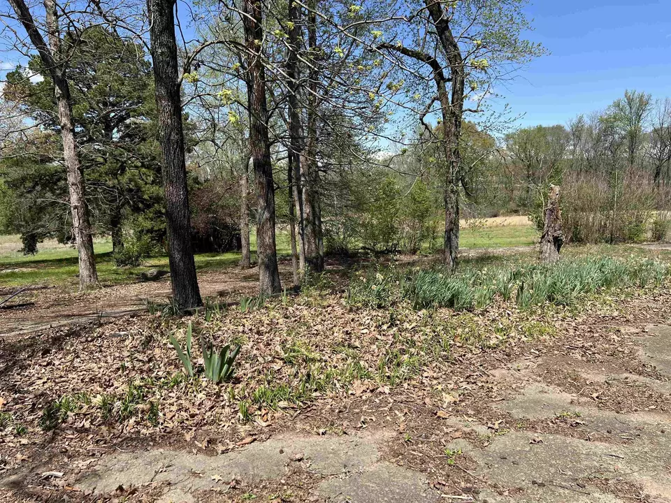 118 Fairway Dr, Bald Knob, AR 72010 | 12 Photos - Movoto