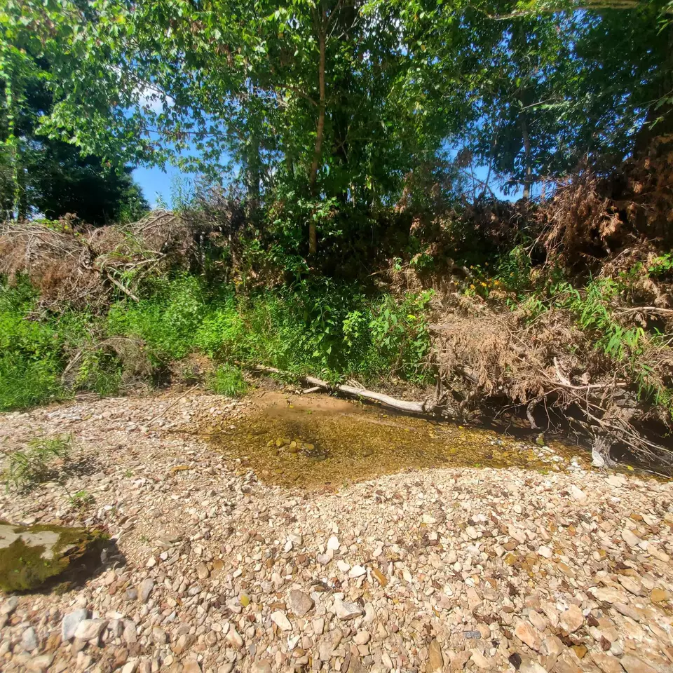 151 Cecil Stevens Rd, Fifty-six, AR 72560 | MLS# 25031025 | 47 Photos ...