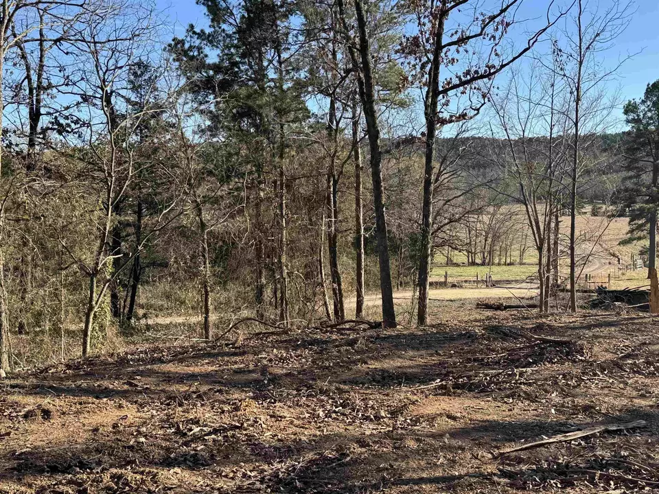 568 Peckerwood Ln, New Blaine, AR 72851 | MLS# 25049100 | 5 Photos - Movoto