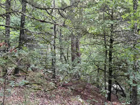 1031 Old Dolph Rd, Calico Rock, AR 72519 | MLS# 26021555 | 21 Photos ...