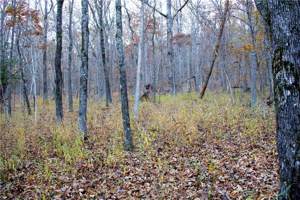 0000 Madison 5114, Elkins, AR 72727 | MLS# 1328617 | 60 Photos - Movoto