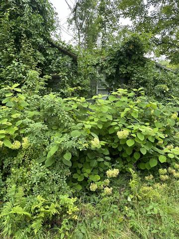 27 Old Turnpike Rd, Bantam, CT 06750 | 8 Photos - Movoto