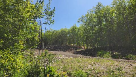 24 Dedham Homes for Sale - Dedham ME Real Estate - Movoto