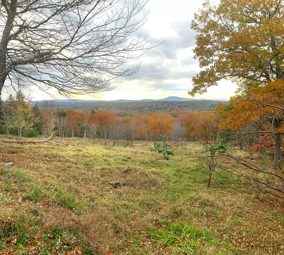 71 Williams Pond Rd, Bucksport, ME 04416 | 16 Photos - Movoto
