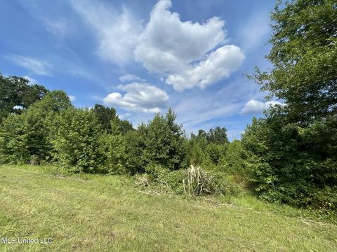 Mccullough Rd Road, Louisville, MS 39339 | 1 photo | MLS #4028315 - Movoto