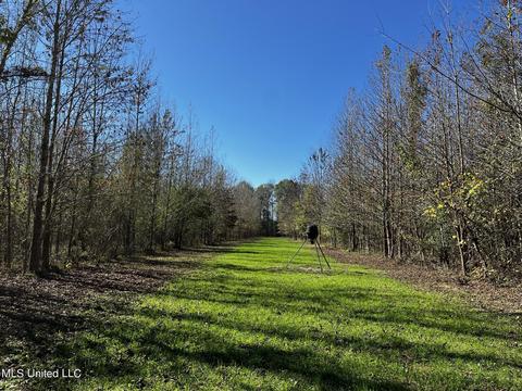 Co Rd 4167, Sallis, MS 39160 | 51 Photos | MLS #4033607 - Movoto