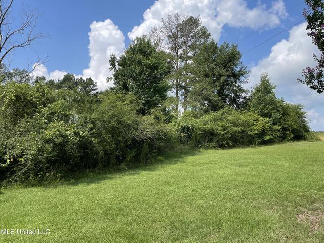 19 Mize Homes For Sale & Mize, MS Real Estate - Movoto