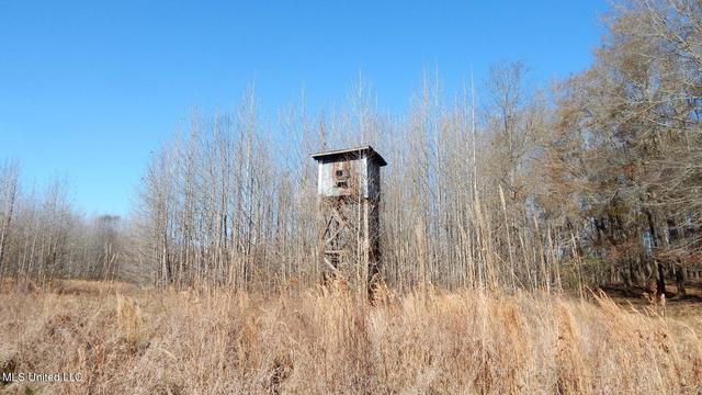 106 Ac Bethel Church Rd, Grenada, MS 38901 | 55 Photos - Movoto