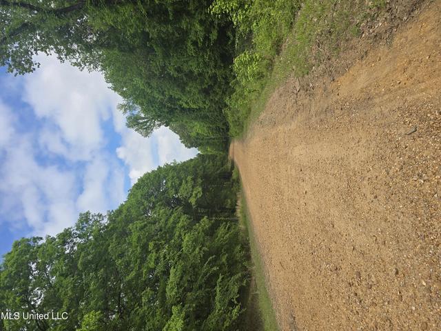 Laughter Road, Hernando, MS 38632 - Movoto