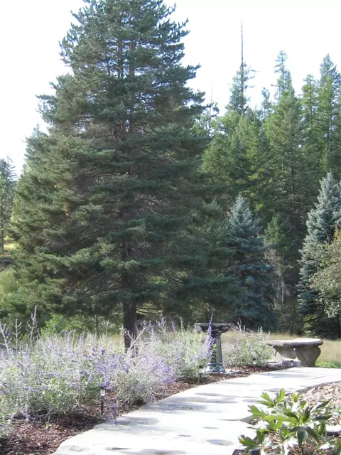 365 Echo Chalet Dr, Bigfork, MT 59911 | 60 Photos - Movoto