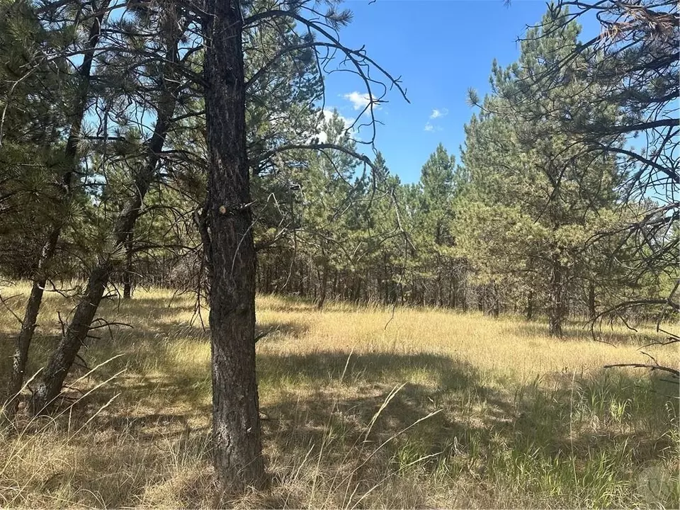 20 Acres Tbd Roland Rd, Roundup, MT 59072 | MLS# 352075 | 7 Photos - Movoto