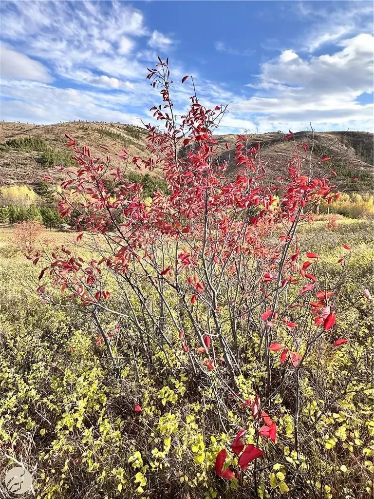 91 W Bridger Creek Rd, Reed Point, MT 59069 | MLS# 356582 | 9 Photos ...