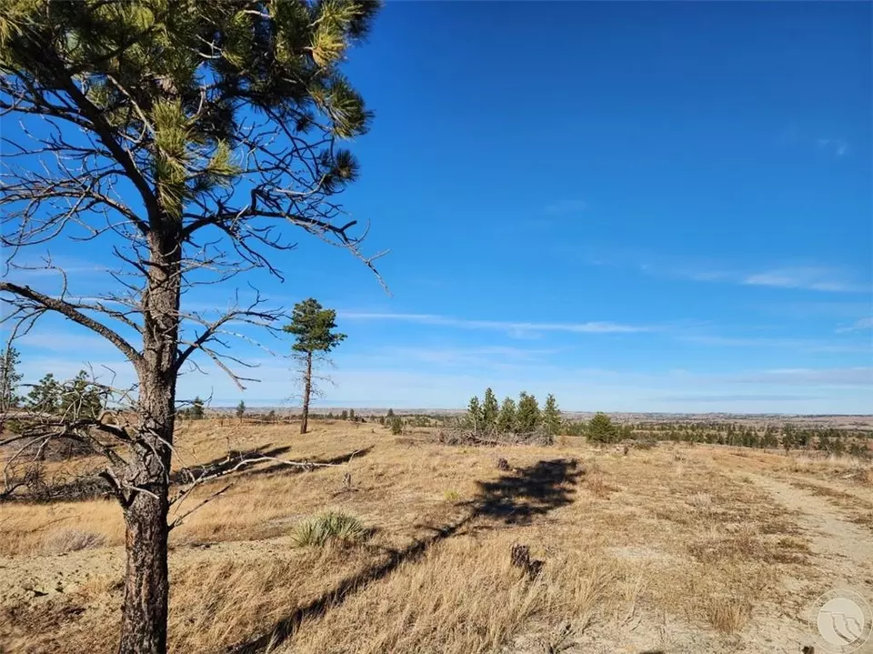 669 Old Stage Rd, Mosby, MT 59058 | MLS# 356610 | 4 Photos - Movoto