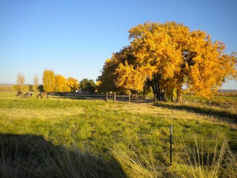 Rinconada Farm, Lemitar, NM 87823 - Movoto