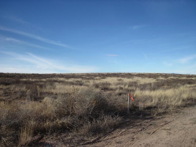 268 Moriarty Homes For Sale & Moriarty, NM Real Estate - Movoto
